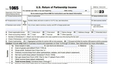 Form 1065 Instructions 2025 - 2026